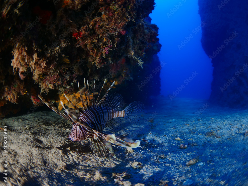 cave scenery underwater cave dive diving in caves ocean topography ...