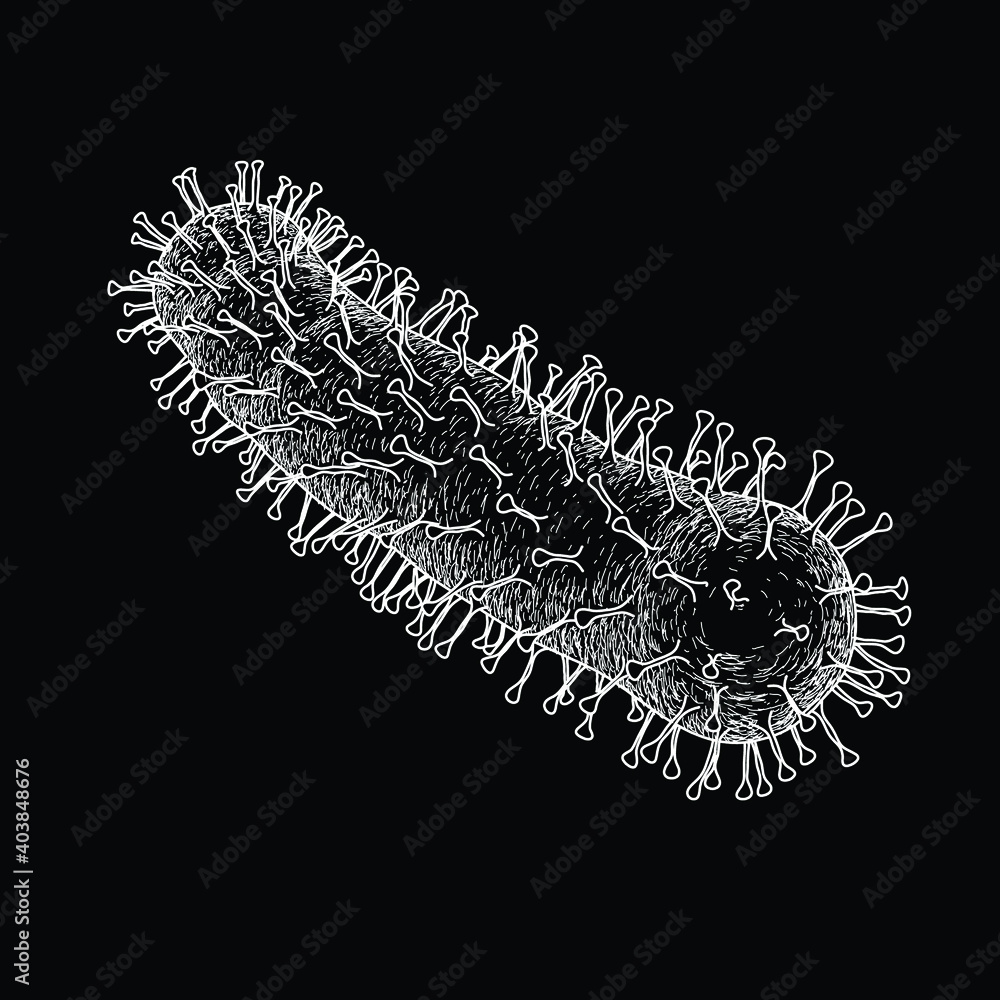 White line virus drawing isolated on black background. Bacteria and ...