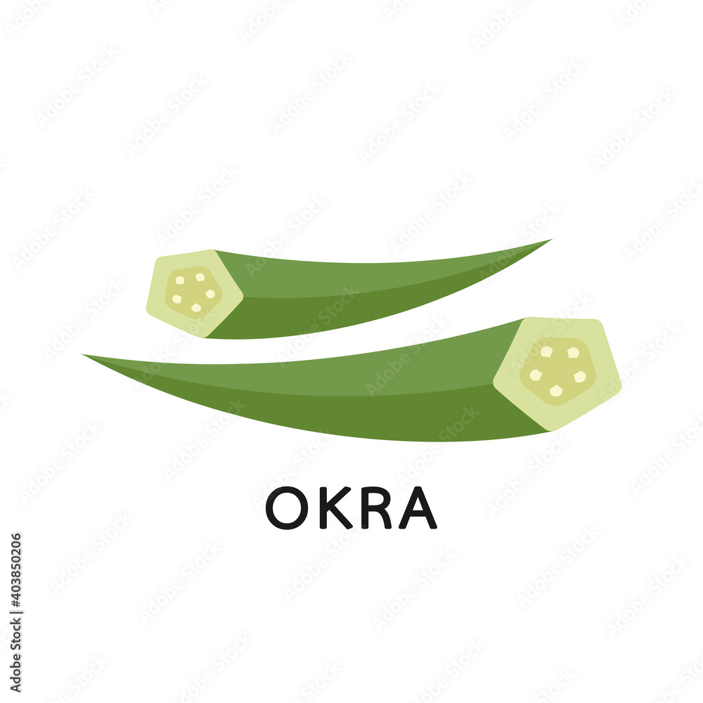 Okra on white background. Okra vector. Okra logo design. Stock Vector ...
