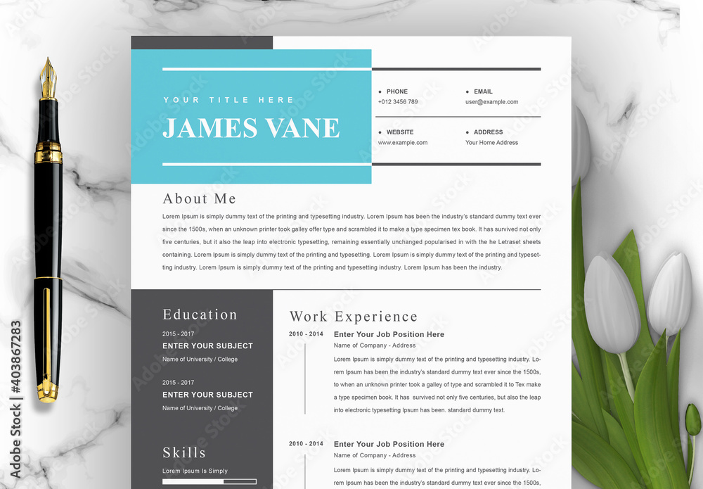 Clean and Professional Resume Layout Stock Template | Adobe Stock