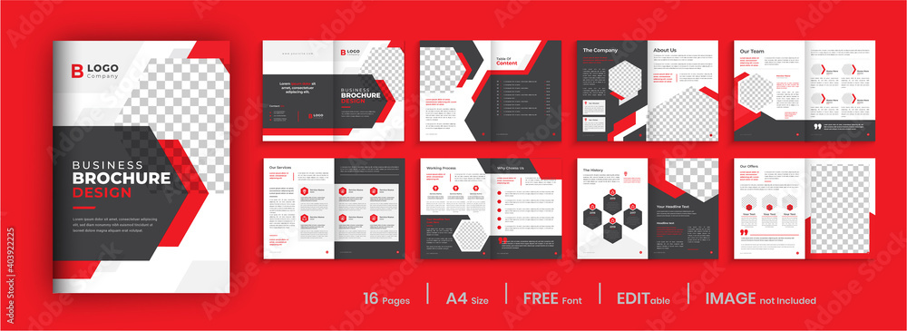 Brochure template layout design, multipage company profile design ...