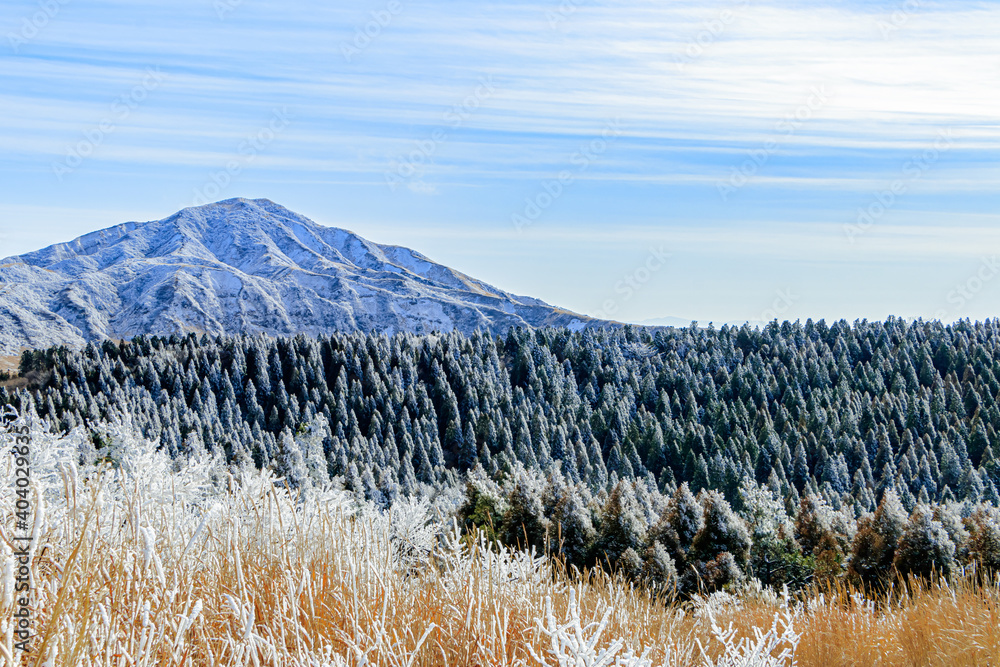 杵島岳登山道から見た冬の烏帽子岳 熊本県阿蘇市 Eboshidake in winter seen from Mt.Kijimadake ...