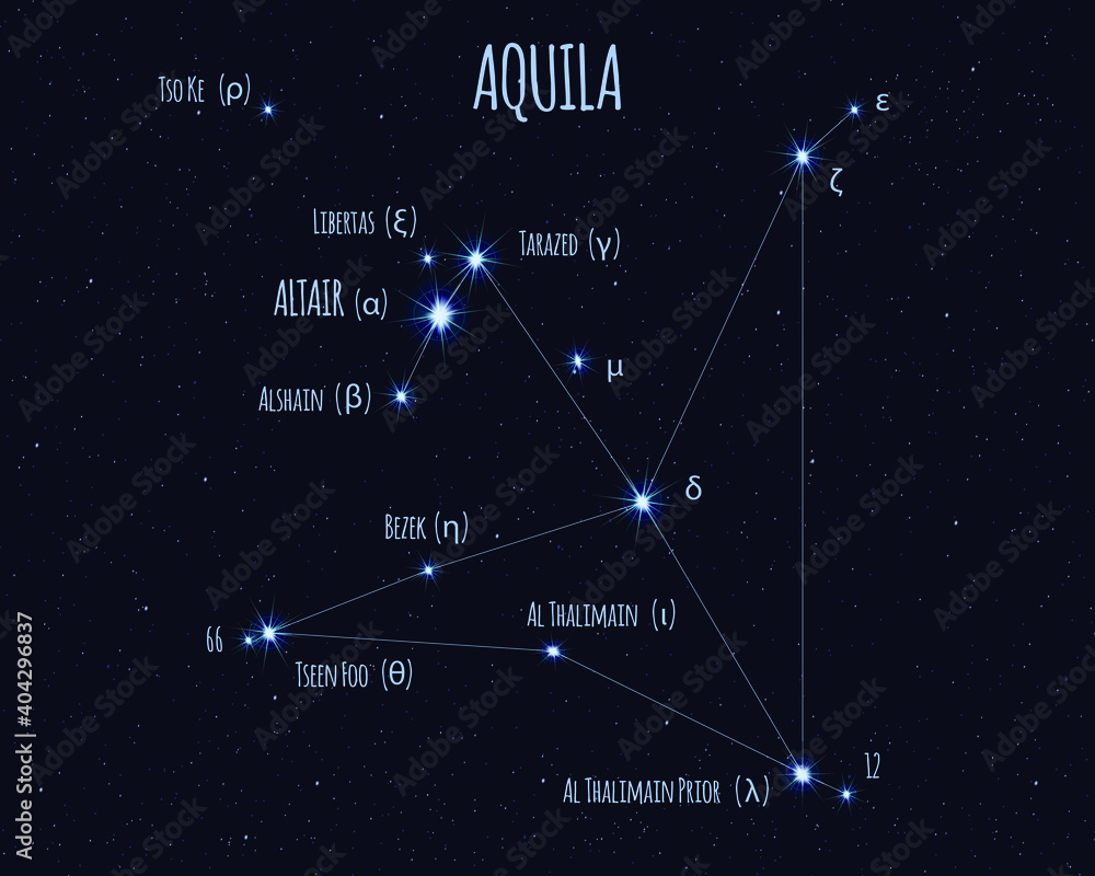 Aquila Constellation Eagle