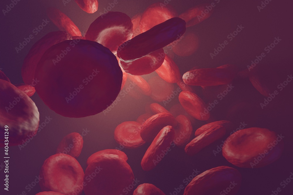 Human red blood cells under a microscope. Movement of red blood cells ...