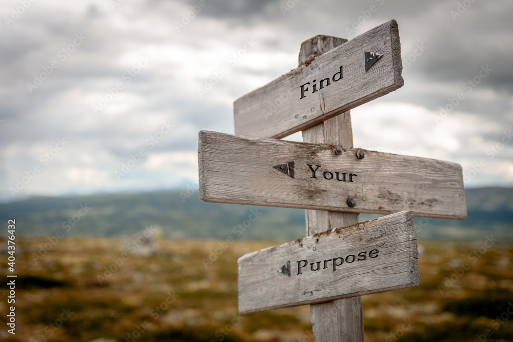 find your purpose signpost outdoors in nature Stock Photo | Adobe Stock