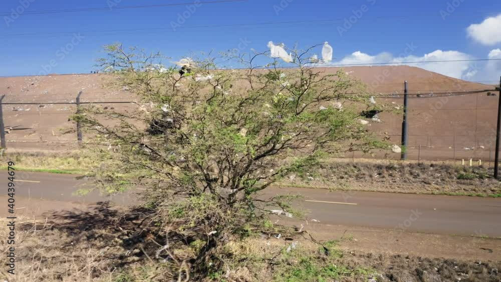 Strong wind blowing consumer garbage, used plastic bags stuck on ...