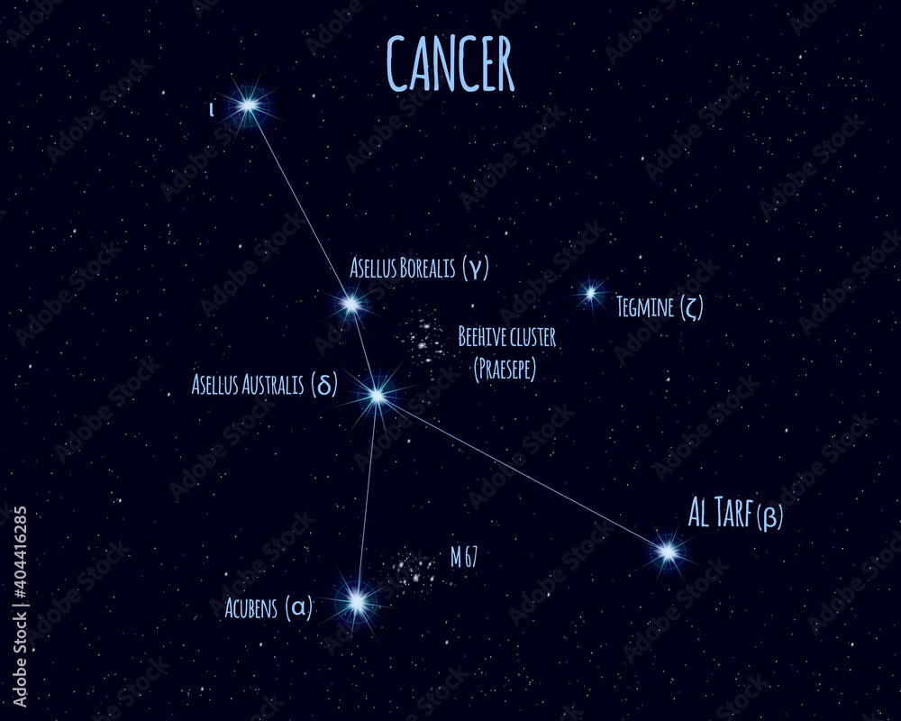 Cancer constellation, vector illustration with the names of basic stars ...