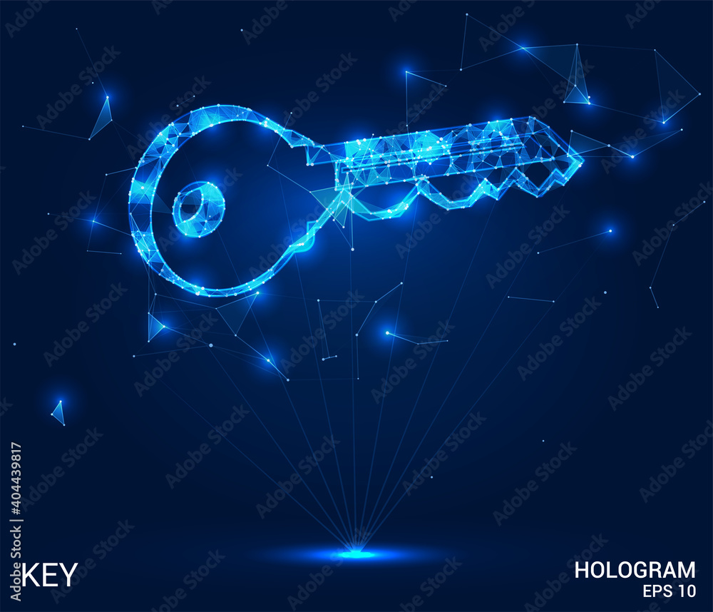 The hologram key. The key consists of polygons, triangles, points, and ...