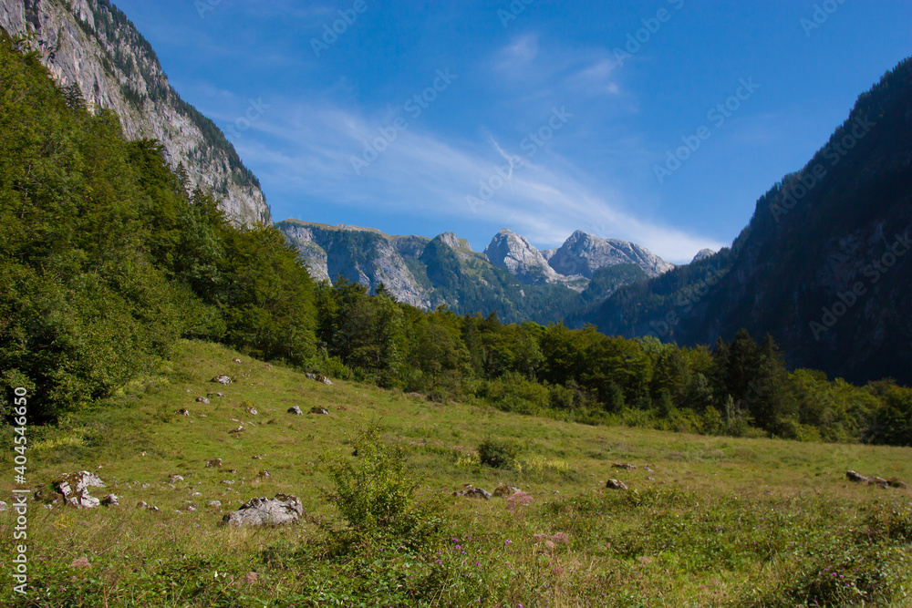 Nice view of the mittersee, alpine green meadows, beautiful landscape ...