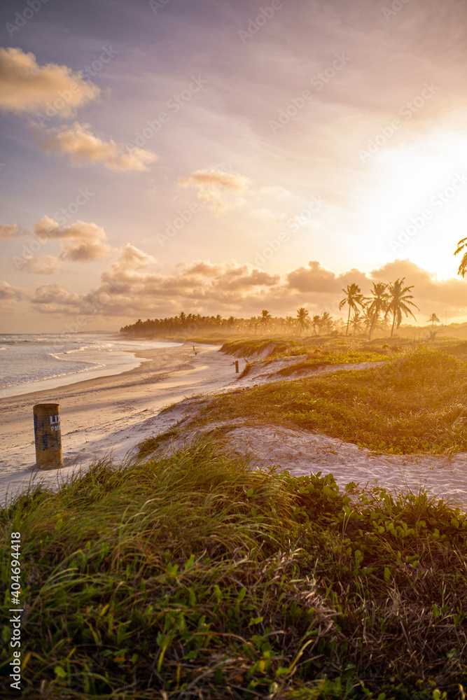 sunset on the beach, sunset, beach, Brazil, fim de tarde, praia ...