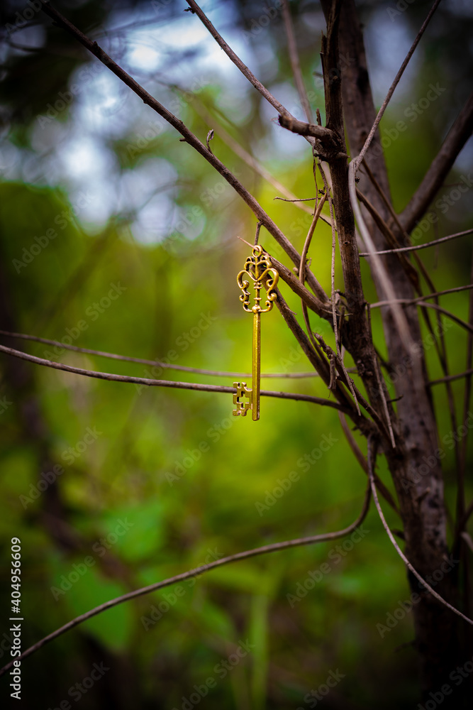 magical historical keys contact with nature in fantasy and green leaves ...
