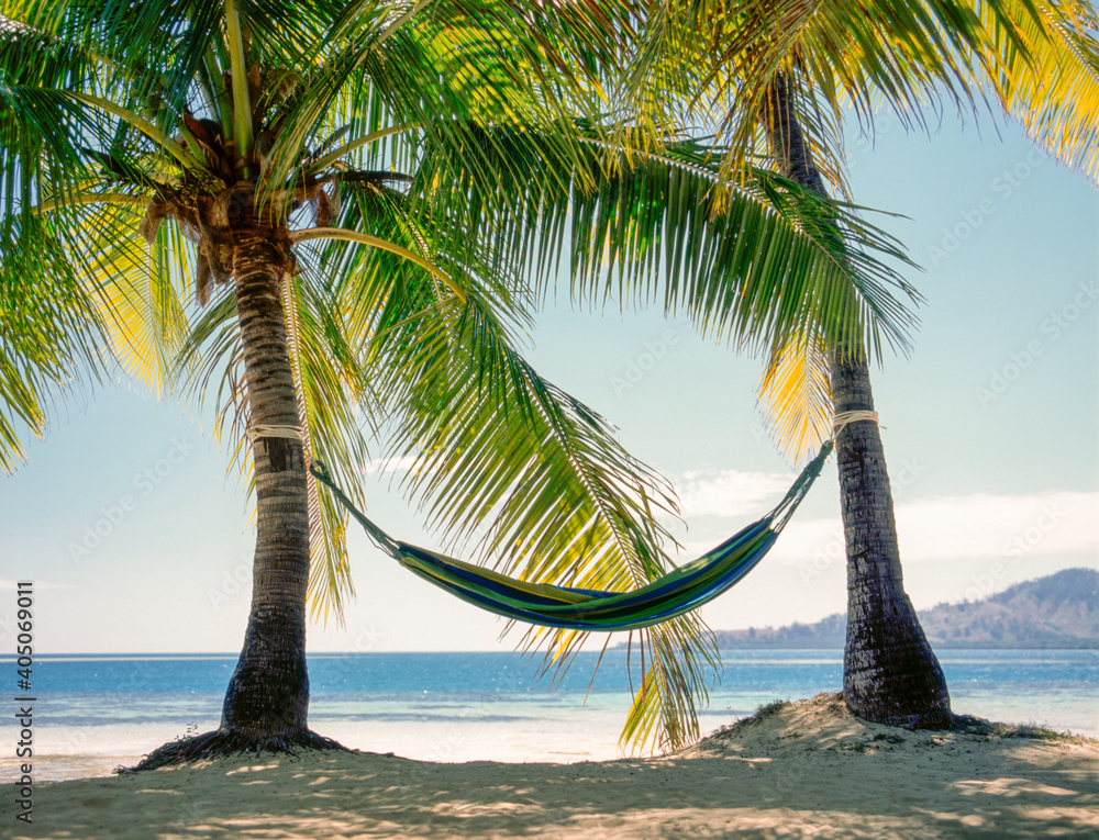 Hammock tied between two palm trees on tropical beach in Fiji Stock ... Hammock tied between two palm trees on tropical beach in Fiji Stock ...
