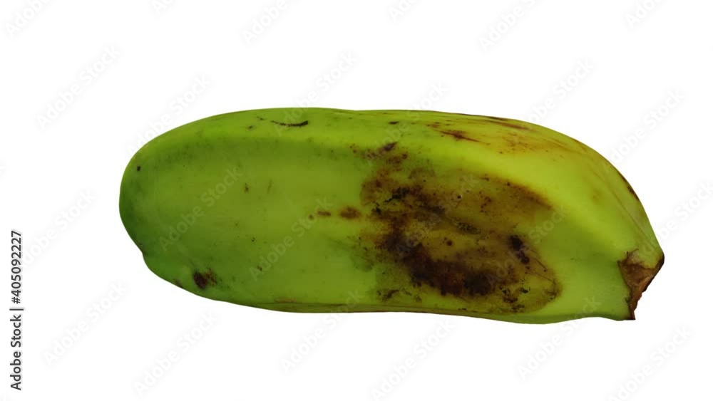 Realistic render of a rotating Cooking Banana (Saba variety from ...