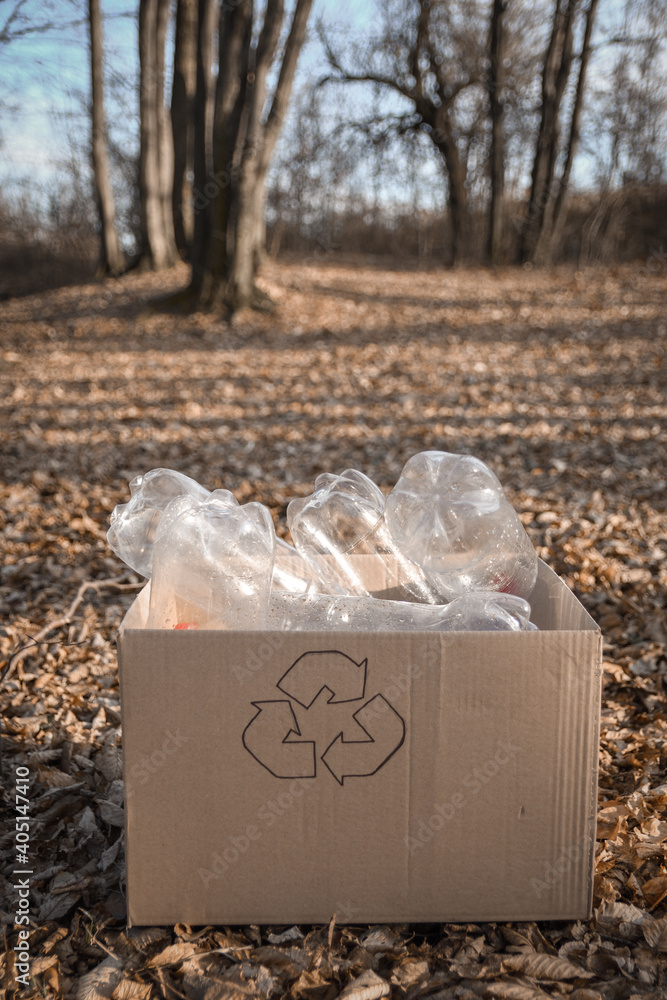 Young volunteers cleaning area in wood,with keep plastic bottle at ...
