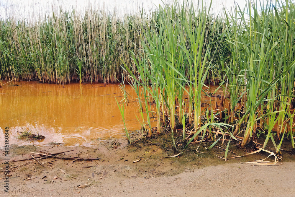 River water pollution concept. Riverside with dirty polluted water and ...