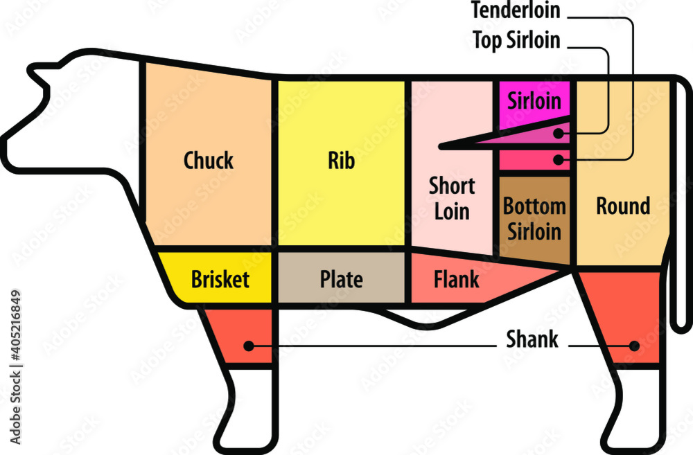 Diagram: cuts of beef. US. Stock Vector | Adobe Stock