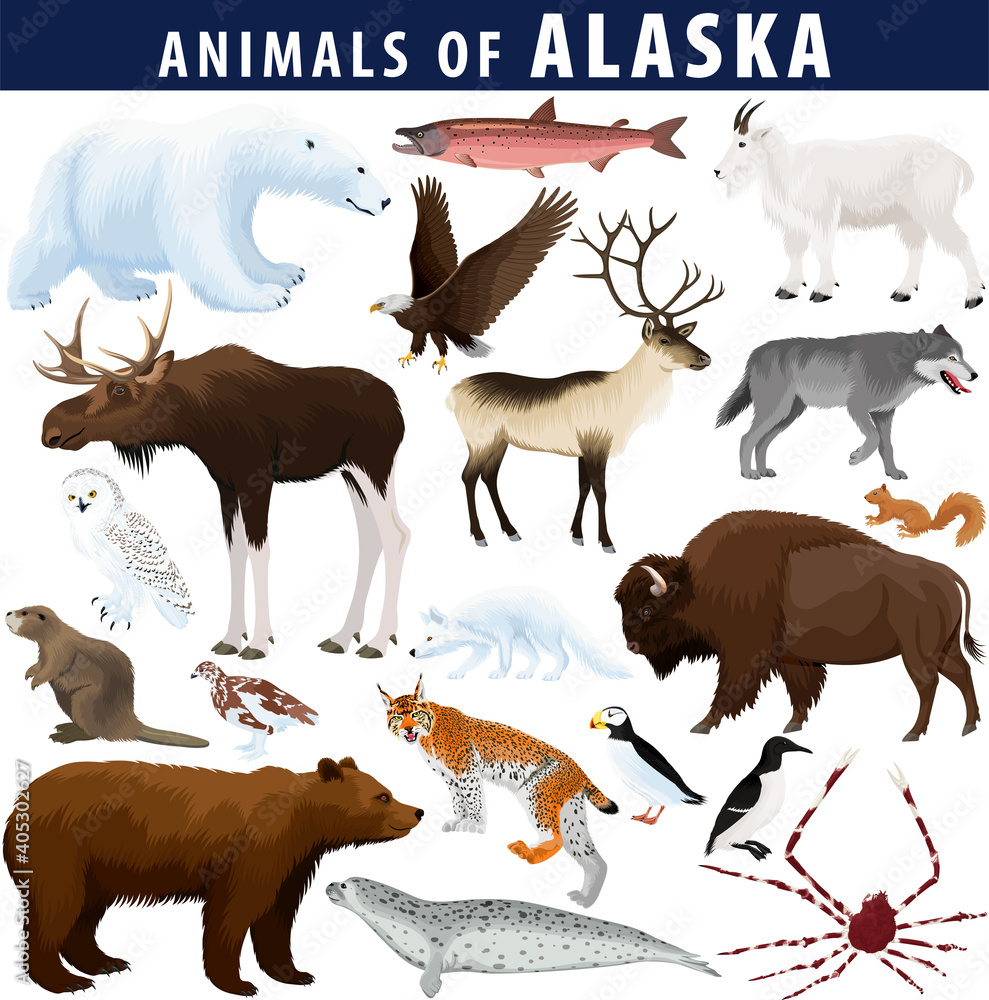 vector set - animals of Alaska: polar bear, bald eagle, moose, lynx ...