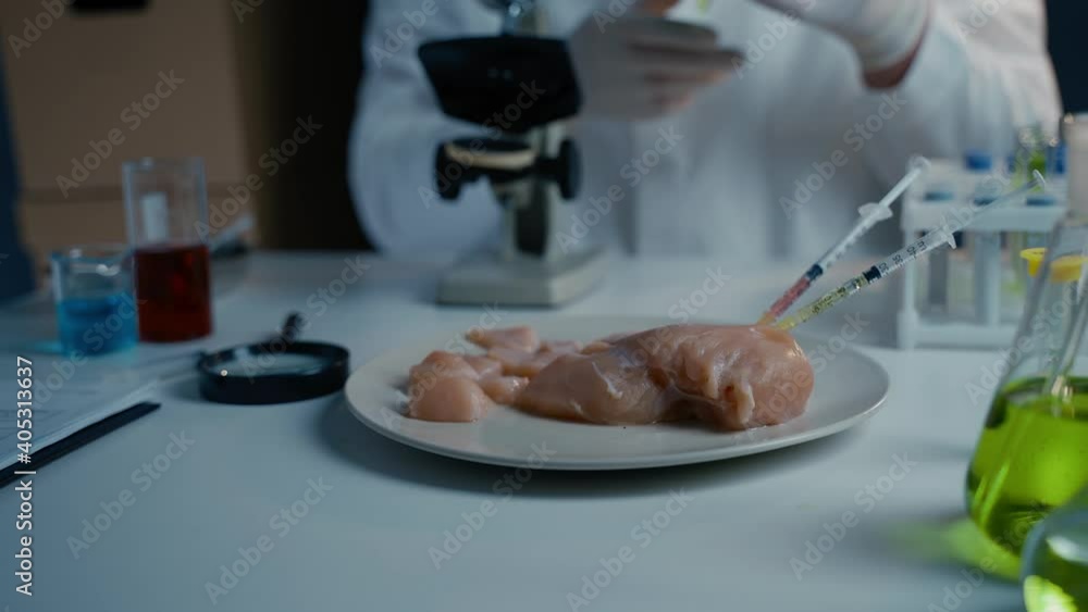 Lab assistant testing GMO chicken. Worker of food quality control ...