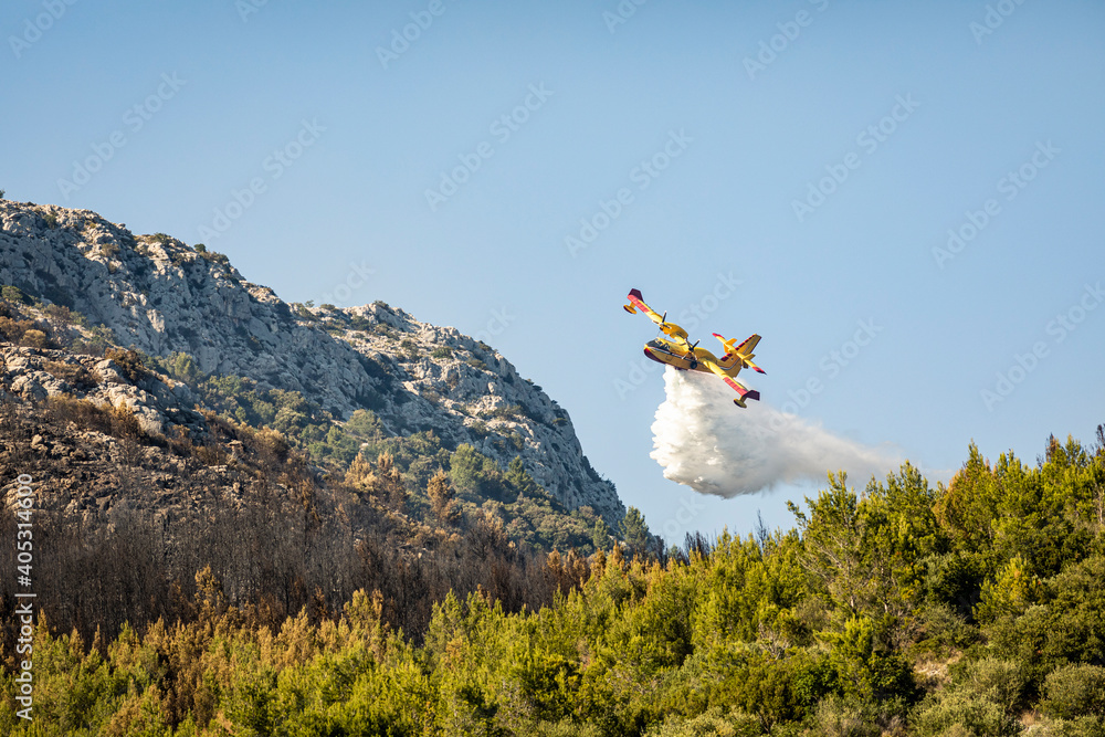 Firefighting airplane pouring water on forest Stock Photo | Adobe Stock