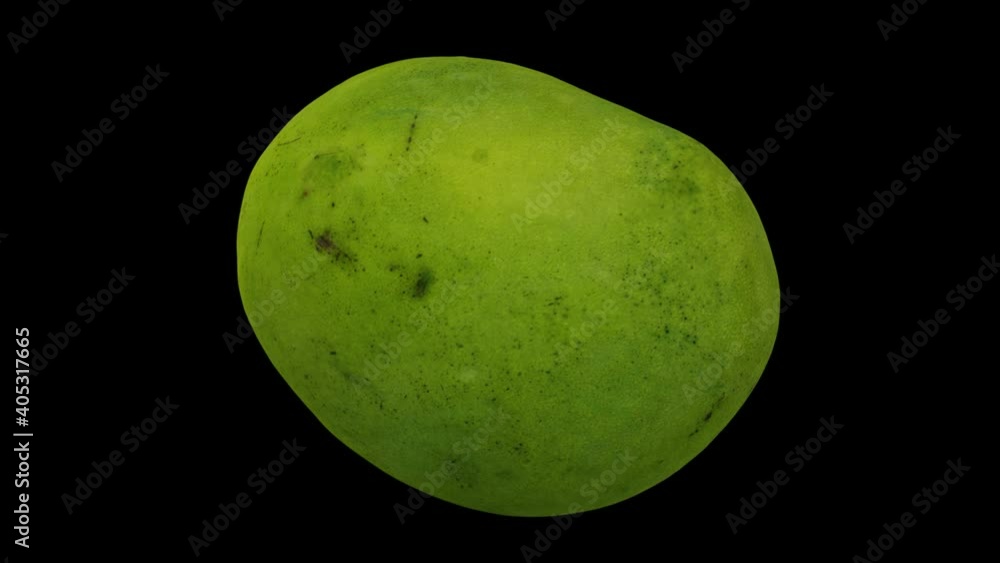 Realistic render of a rotating Philippine Green Mango (Katchamitha ...