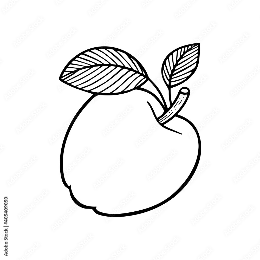 Apple hand drawn vector illustration. Apple with leafs outline graphic ...