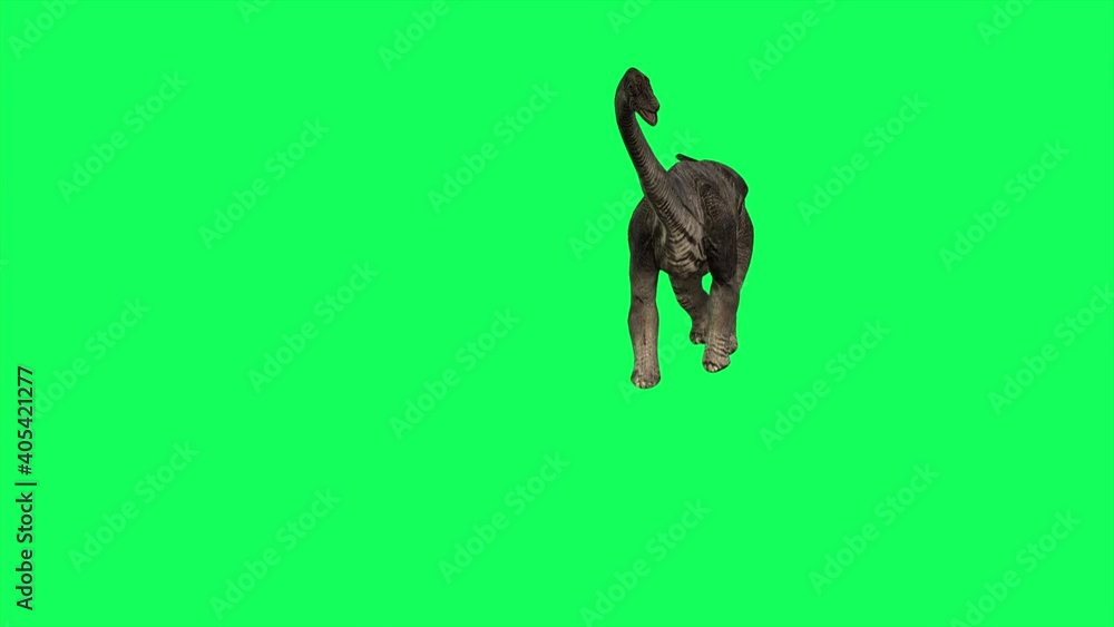 4k animation -Brachiosaurus Walking On Green Screen Background.Jurassic ...