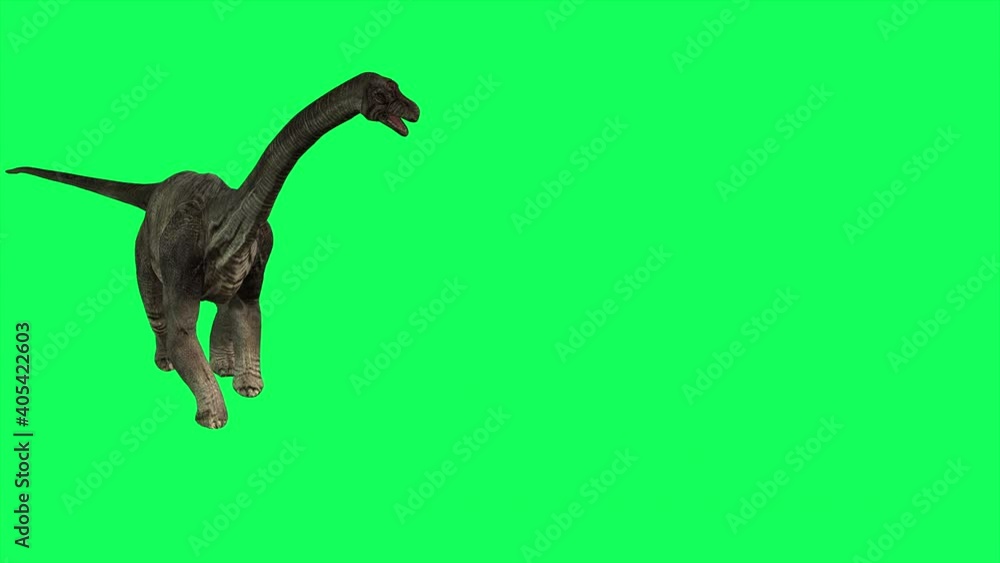 4k animation -Brachiosaurus Walking On Green Screen Background.Jurassic ...