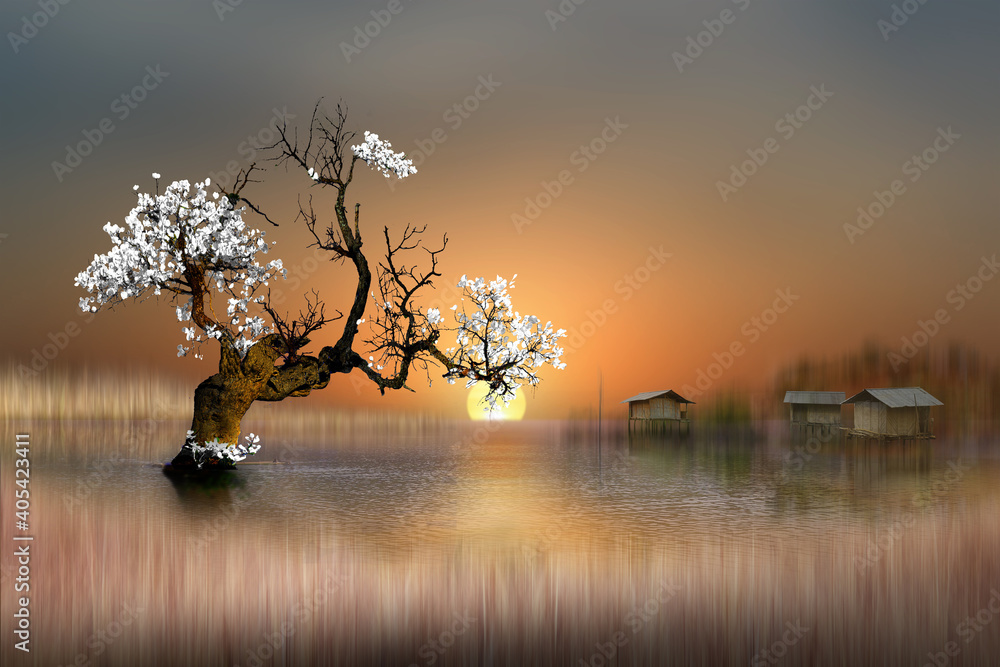 dancing tree Stock Photo | Adobe Stock