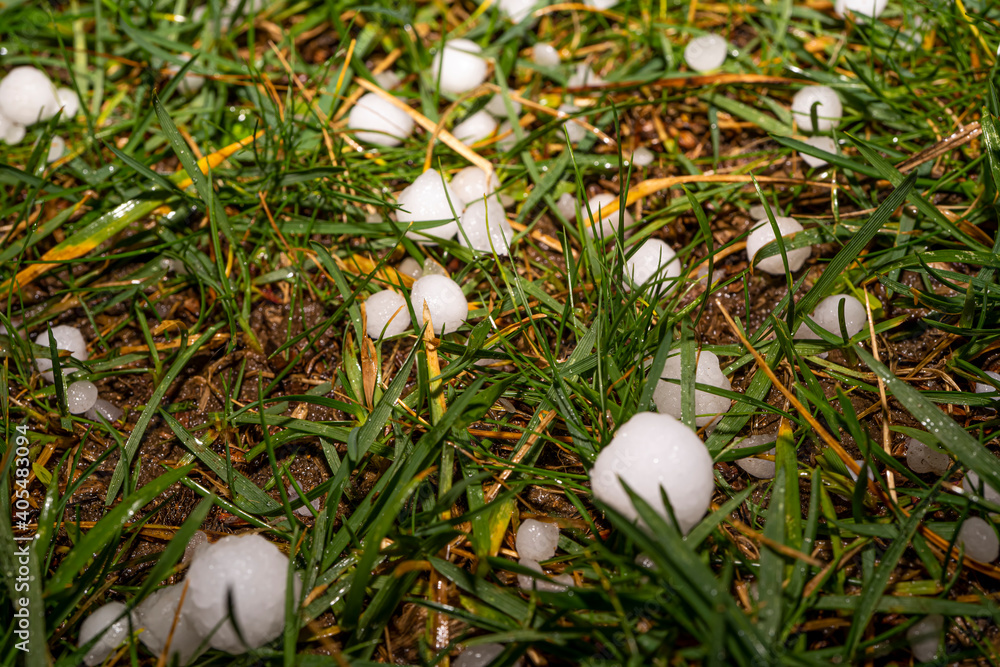 Large grains of hail on a green background. Background, texture. After ...