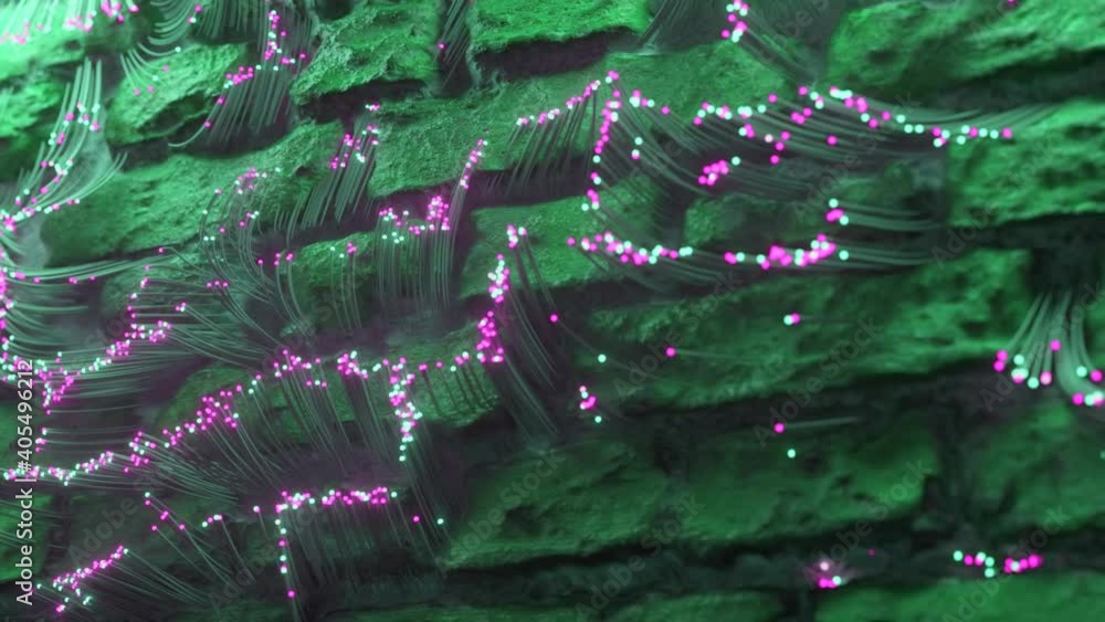 Fiber optic spreads appears between the bricks and spreads along the ...