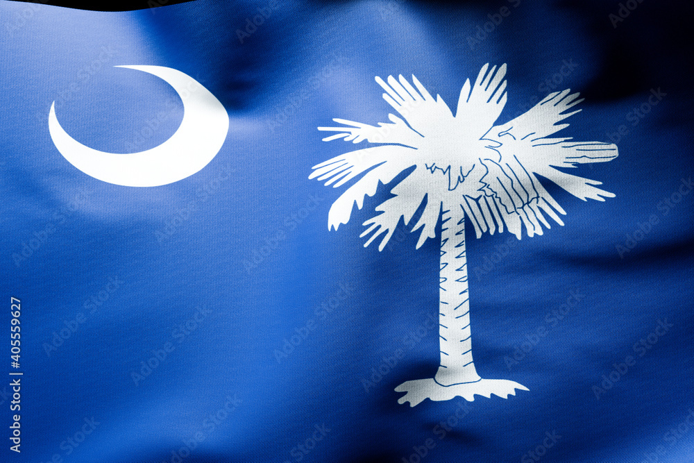 Carolina flag USA State of South Carolina Close up Stock Photo | Adobe ...