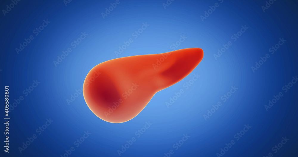 Pancreas x-ray style, internal organs 3D render, anatomy of the human ...