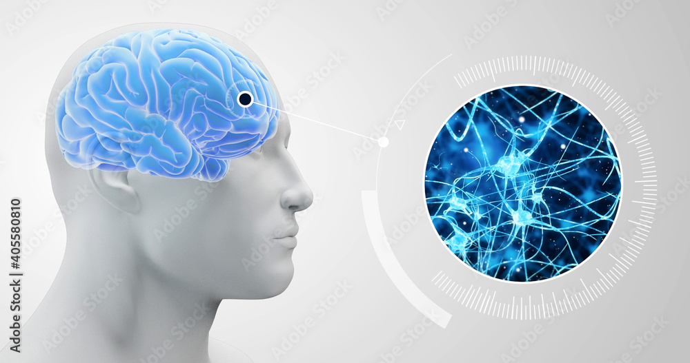 Human brain, work of neurons, magnification of a microscope 3D render ...