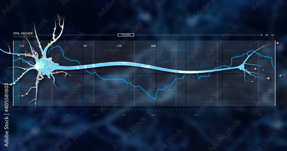 Neuron and synapses 3d animation, medical illustration. Neurogenesis ...