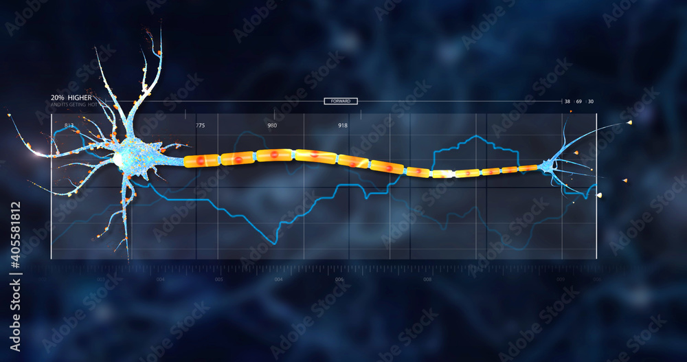 Neuron and synapses 3d animation, medical illustration. Neurogenesis ...