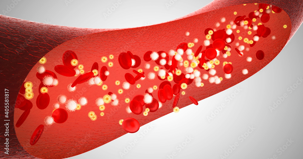 Blood movement in the vessel, 3D render capillaries, red blood cells ...