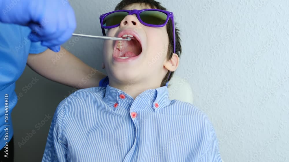 doctor examines oral cavity of small patient, molars grow, length of ...