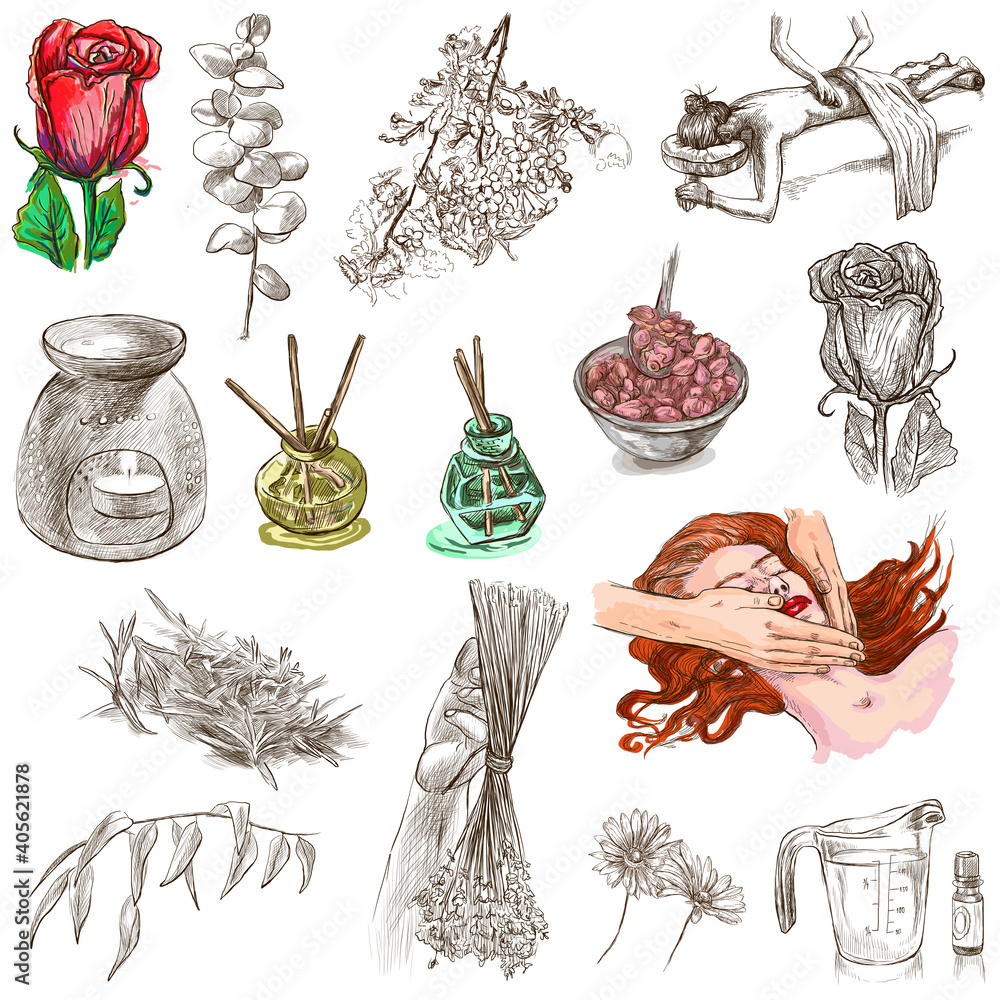 herbs, cleanliness, scent and skin care. Collection, pack of freehand ...