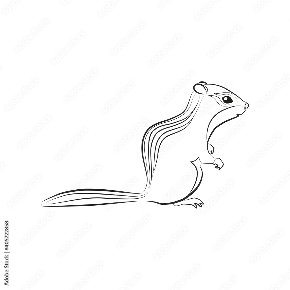 Chipmunk Outline