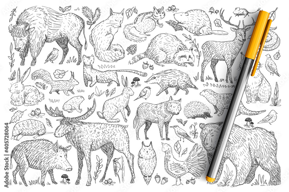 Forest wild animals doodle set. Collection of hand drawn deer fox bear ...