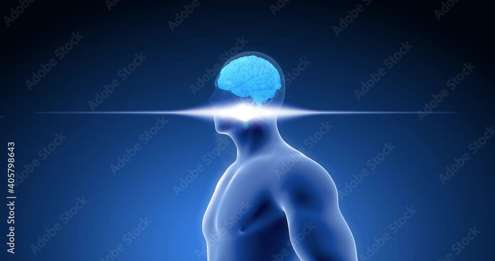 3D human body scan, body scanner, medical screen, tomography, medical ...