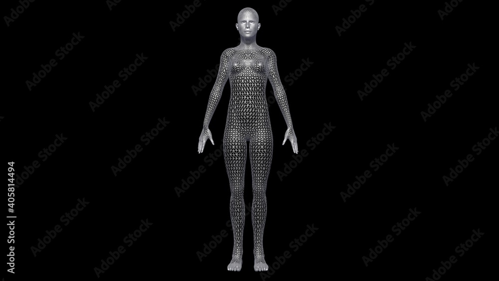 3d female model high resolution wireframe object . Polygonal woman ...
