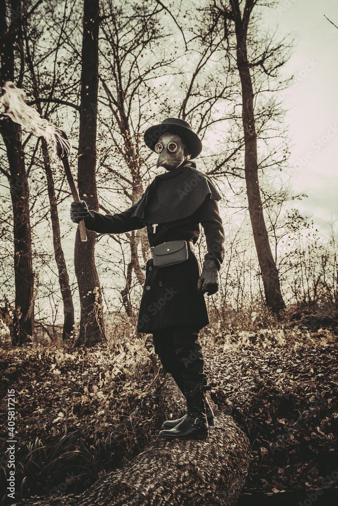 forest, nature, tree, people, outdoor, walk, trees, plague, disease ...