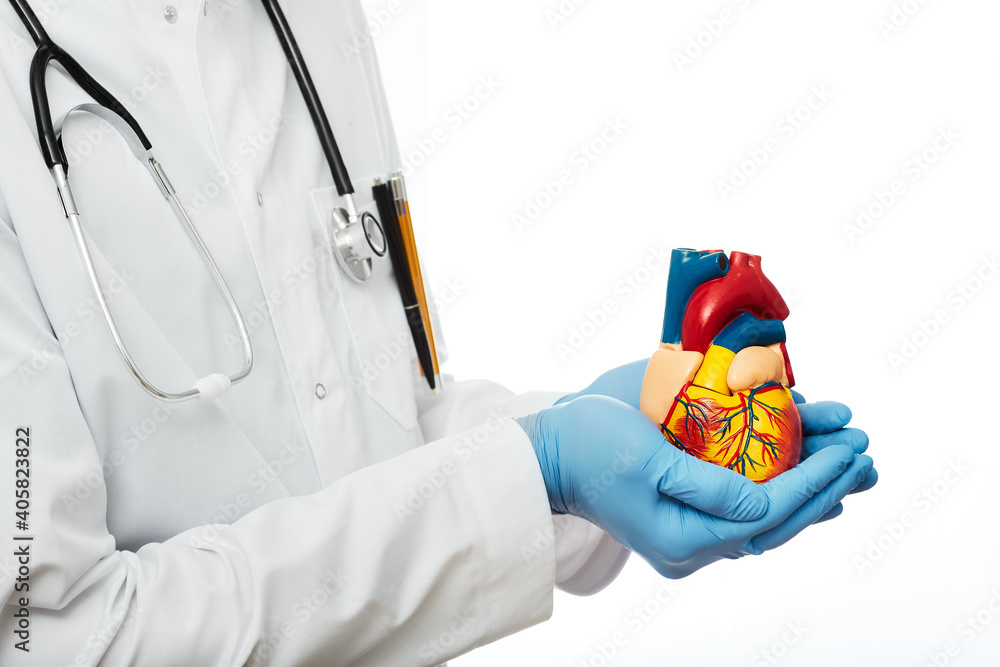 Foto de Medical support for human cardiac health. Cardiologist wearing ...