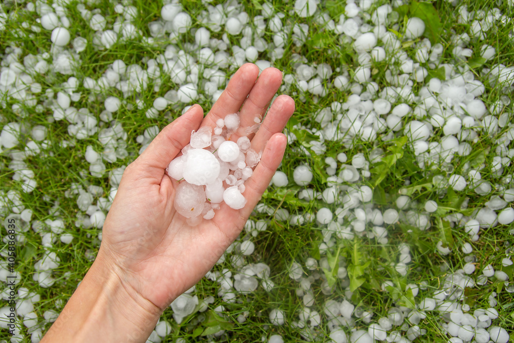 Large hail in human hands on the green grass background. Stock Photo ...
