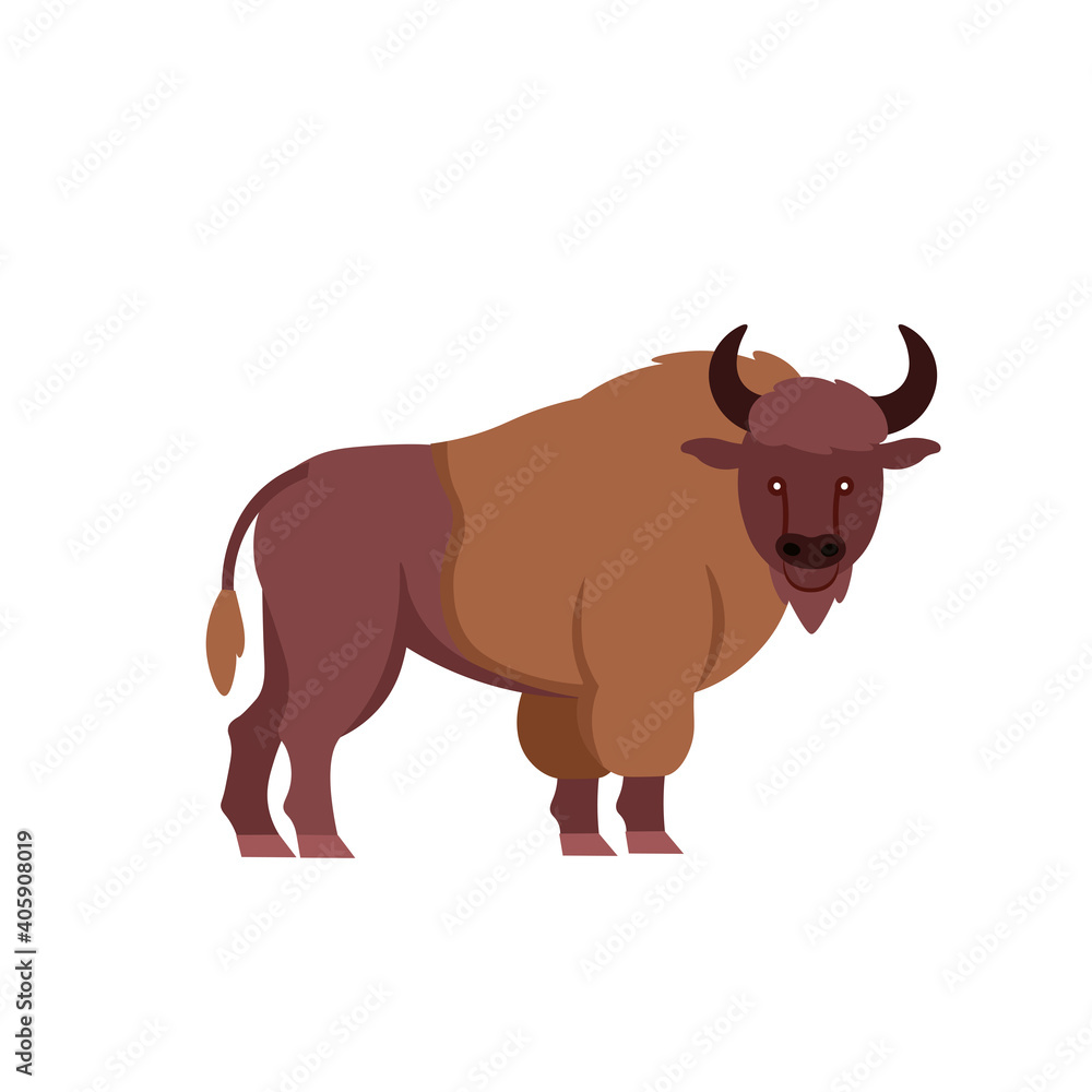 Cartoon buffalo on a white background. Flat cartoon illustration for ...