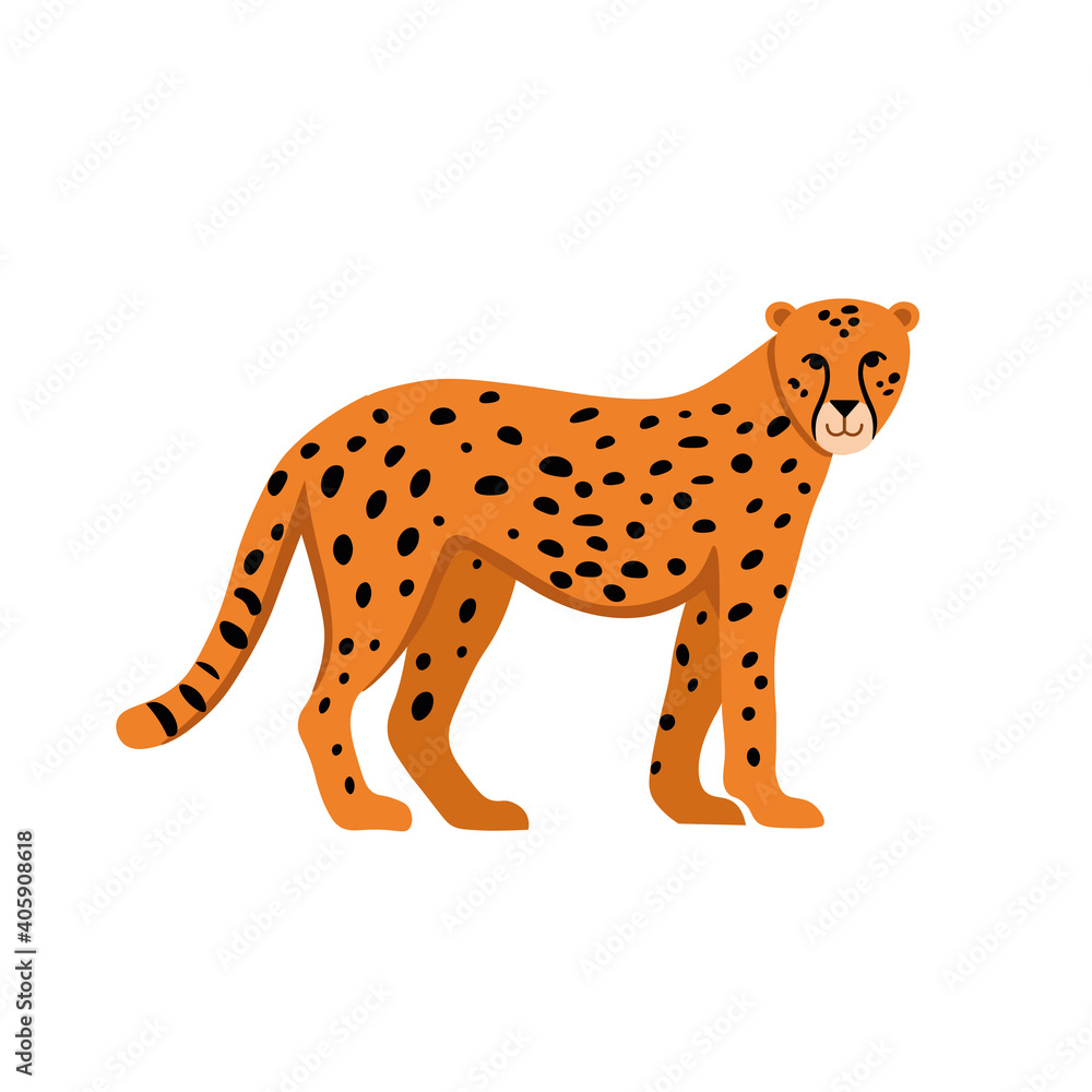 Cartoon cheetah on a white background.Flat cartoon illustration for ...