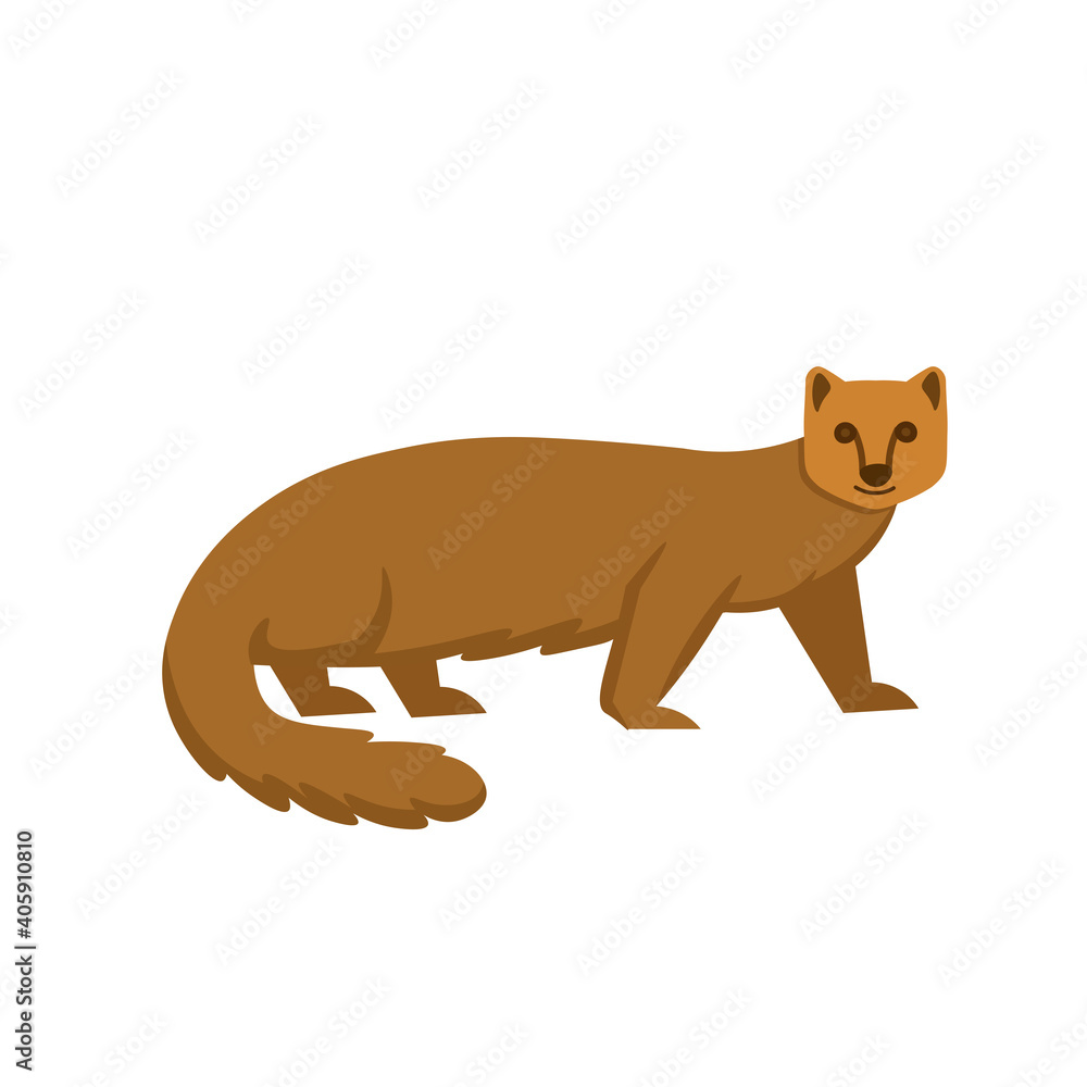 Cartoon mongoose on a white background.Flat cartoon illustration for ...
