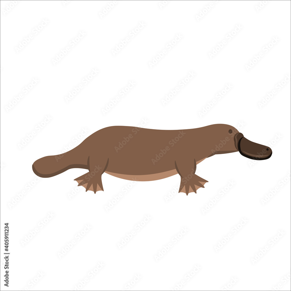 Cartoon platypus on a white background.Flat cartoon illustration for ...