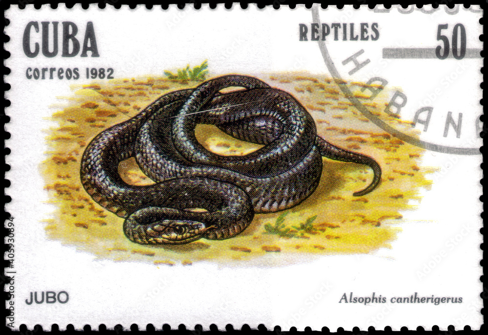 Foto Stock Postage stamp issued in the Cuba the image of the Cuban ...